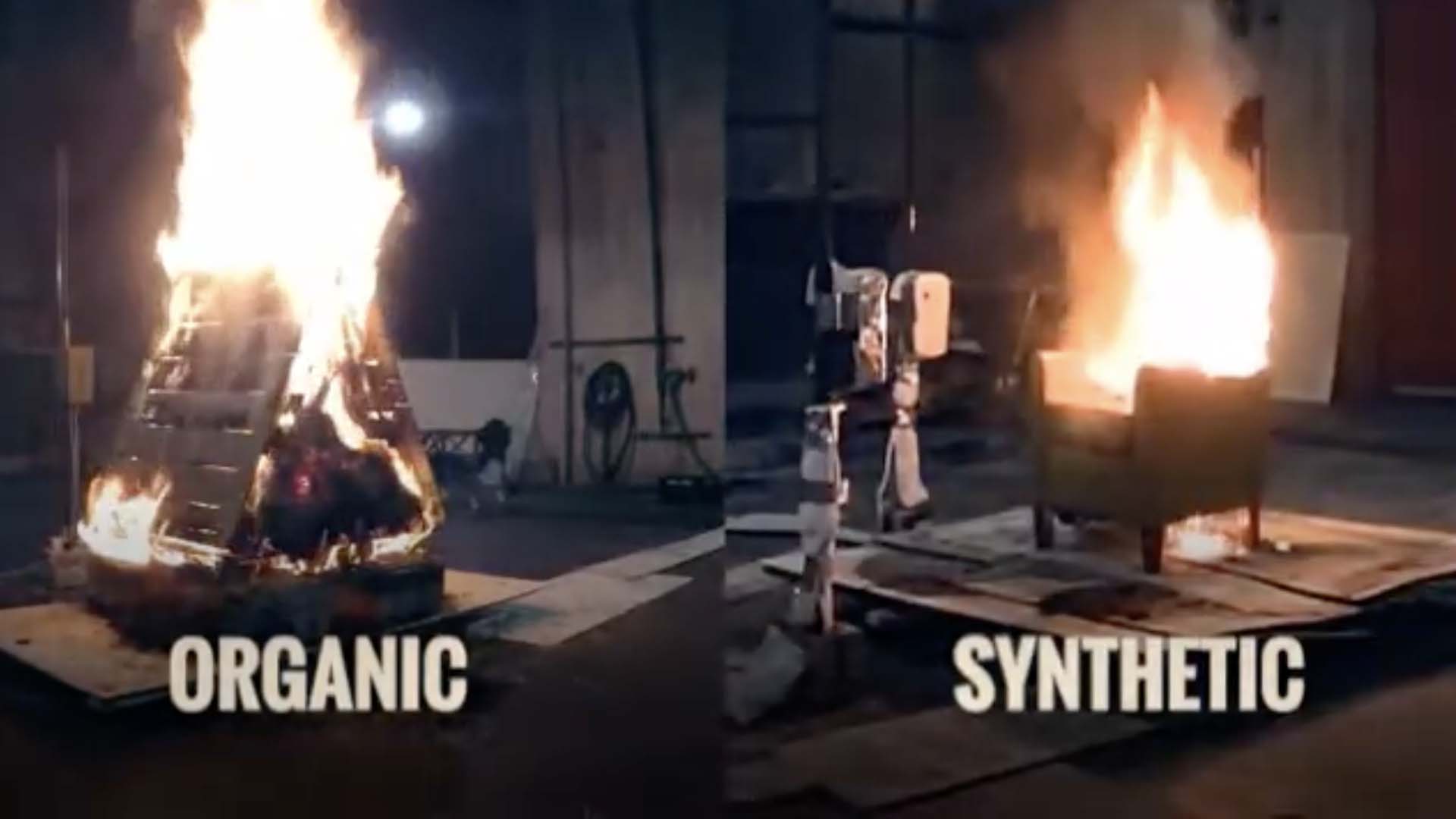 Organic vs. Synthetic Fuels | Xplorlabs