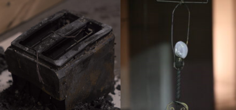 How does fire develop? | Xplorlabs