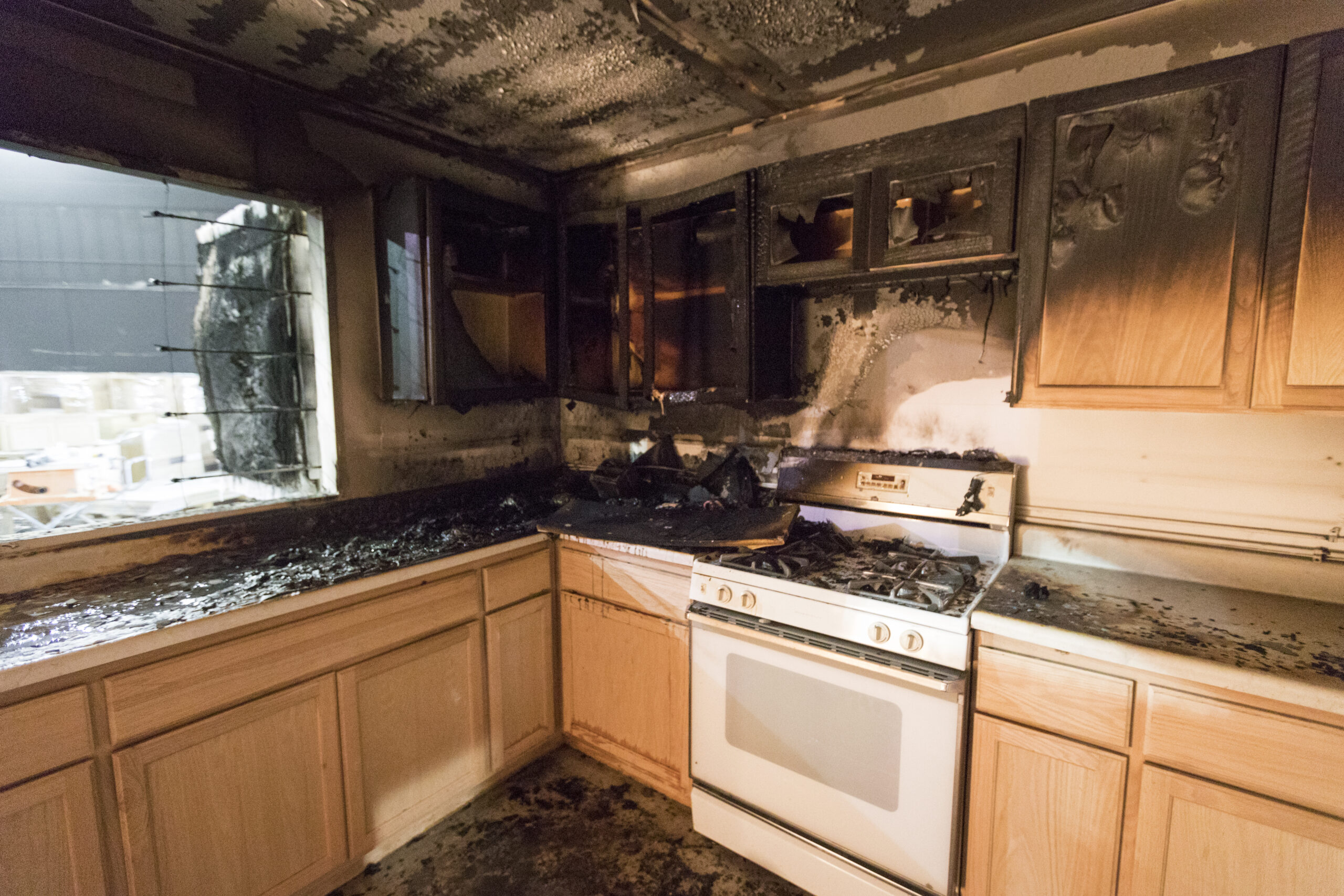 Solve The Case | Xplorlabs