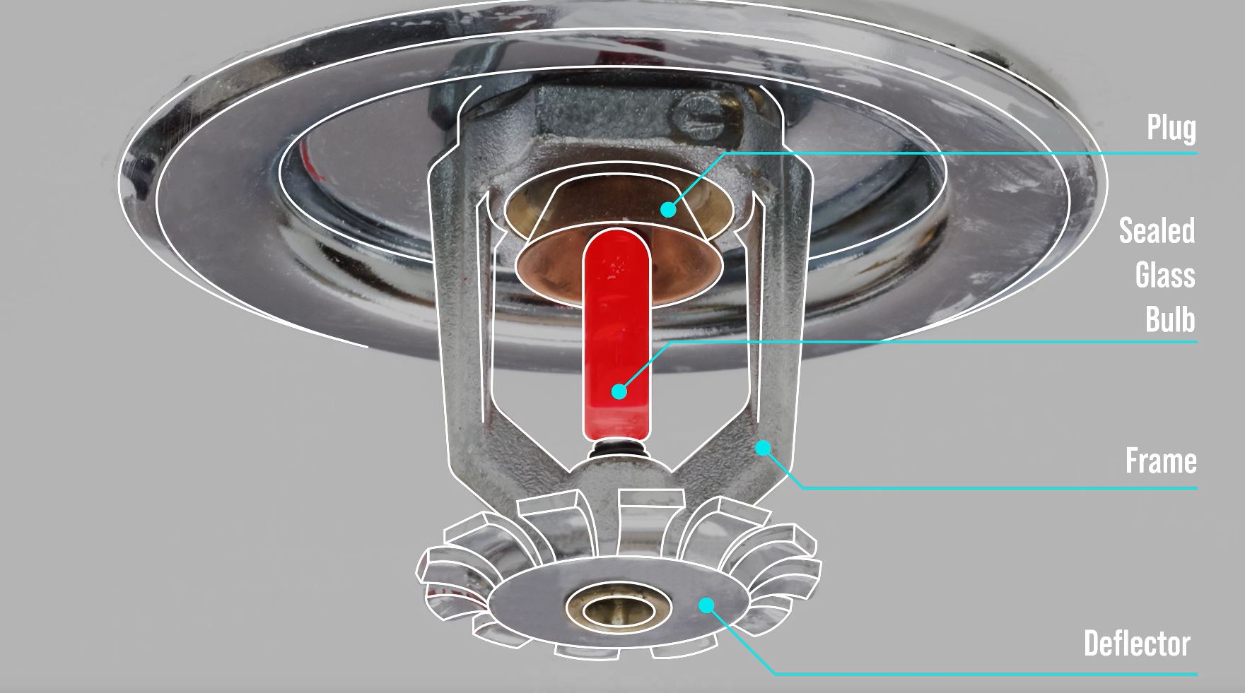 Investigation: How Do Fire Sprinklers Work? | Xplorlabs